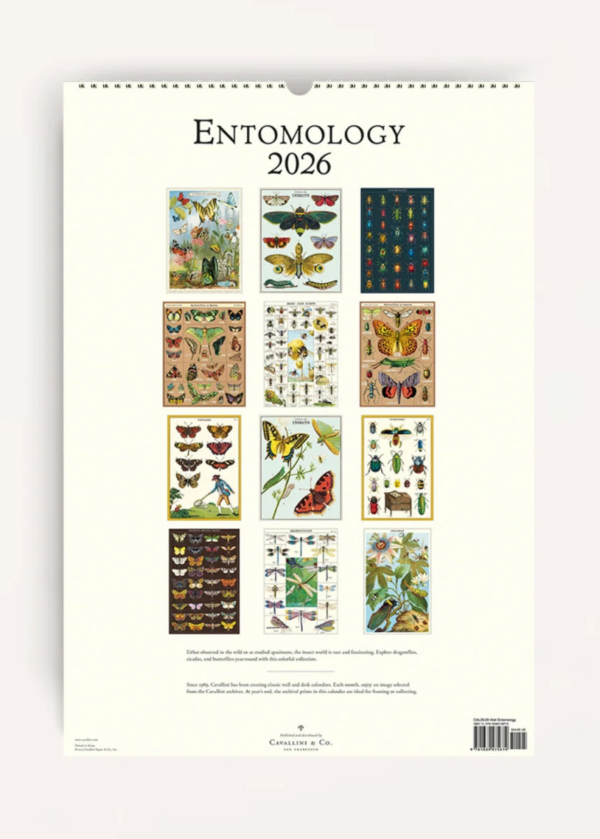 Cavallini 2026 Entomology Wall Calendar – Ex-voto